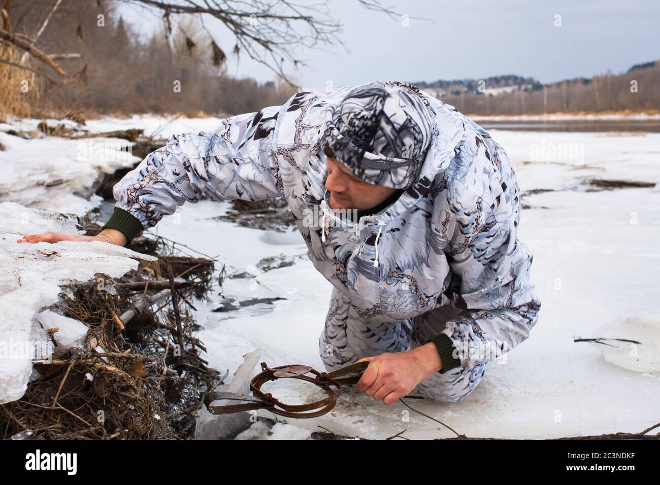 hunter puts a trap for beaver Stock Photo - Alamy