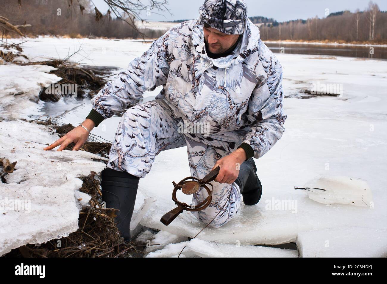 hunter puts a trap for beaver Stock Photo - Alamy