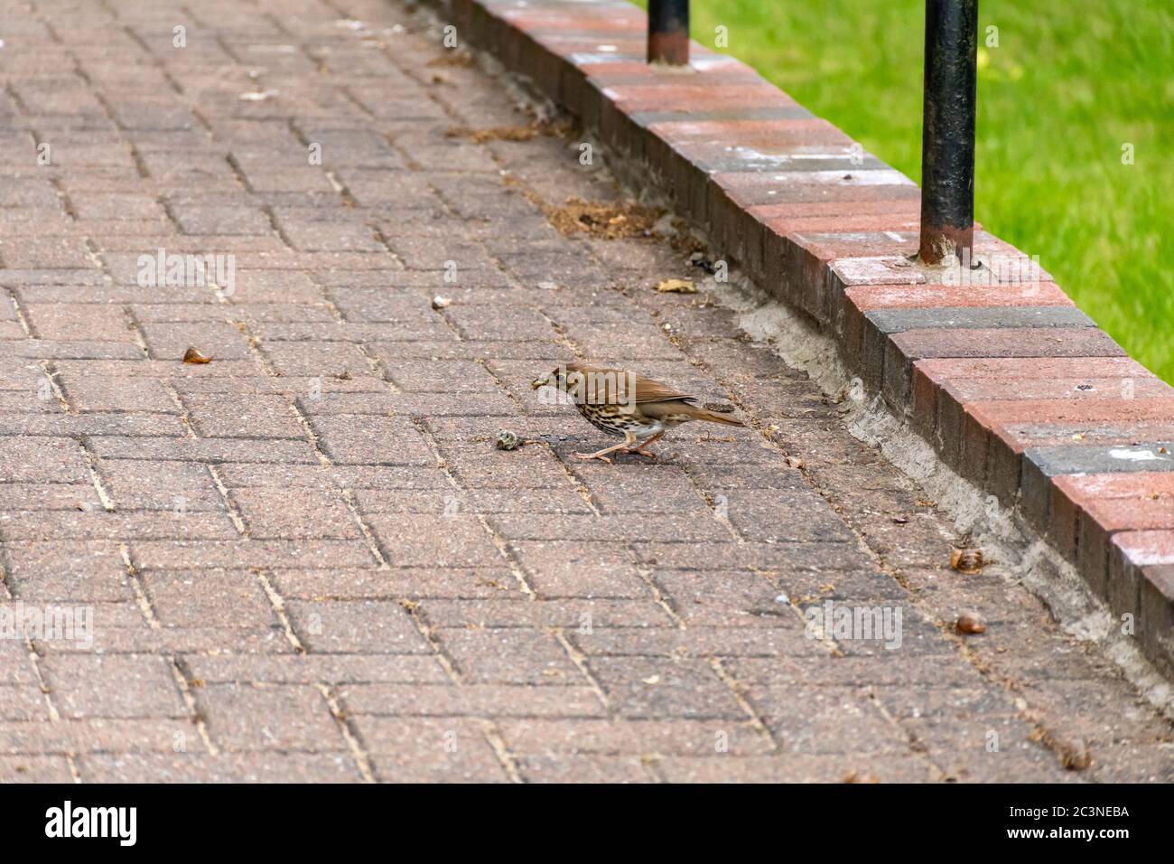 Cracking open hi-res stock photography and images - Alamy