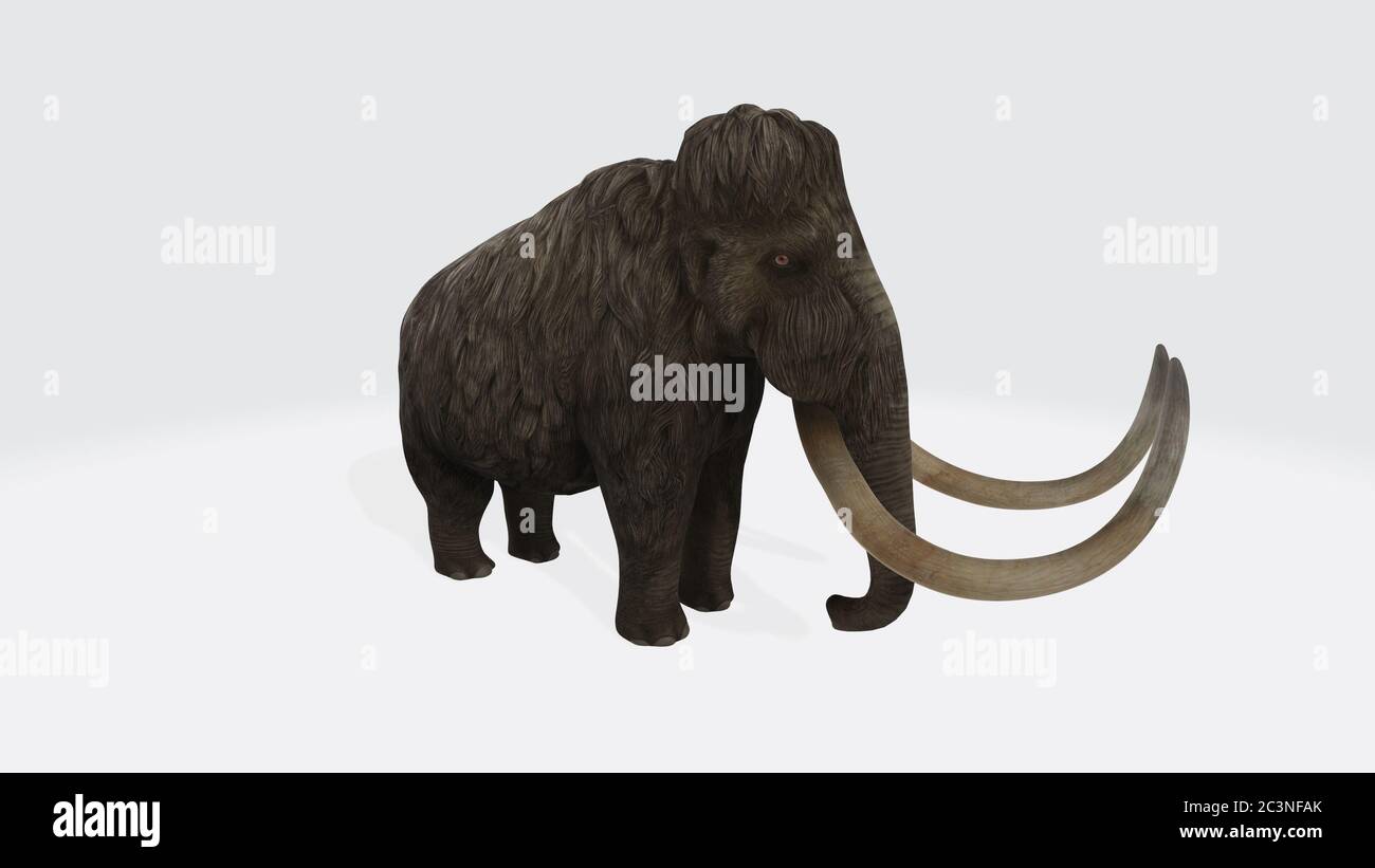 Parasaurolophus teeth hi-res stock photography and images - Alamy