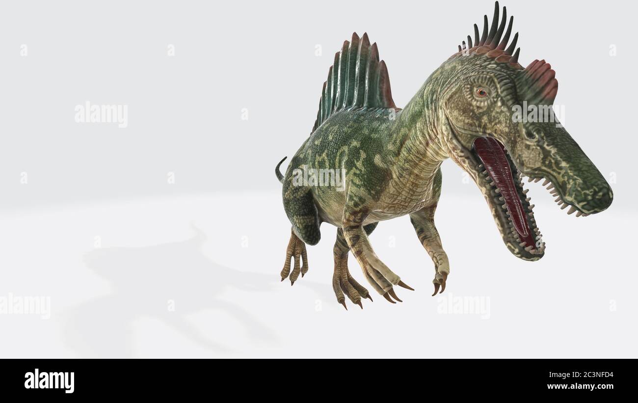 Parasaurolophus teeth hi-res stock photography and images - Alamy