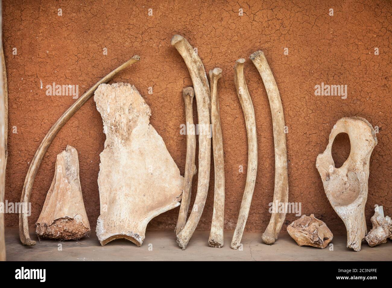 Hunter gatherers drawing hi-res stock photography and images - Alamy