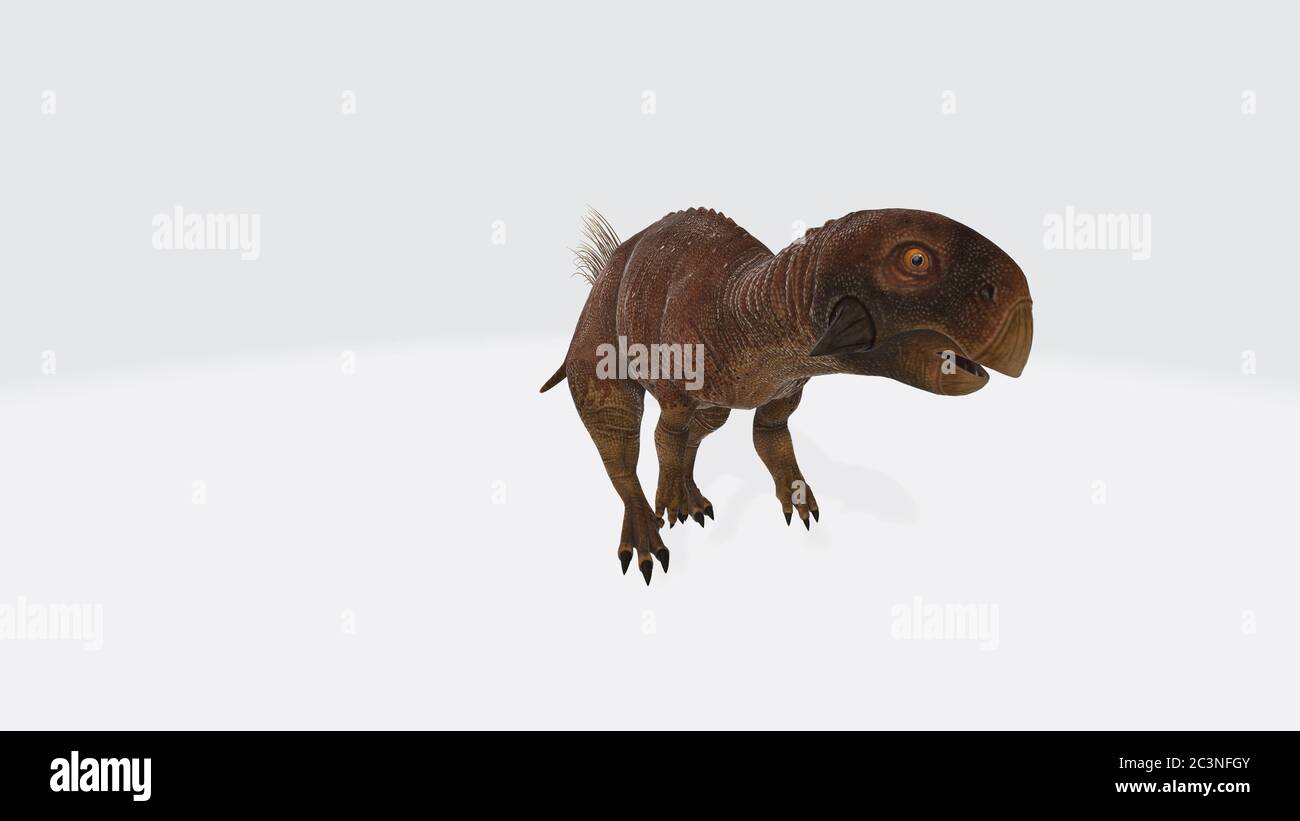 Parasaurolophus teeth hi-res stock photography and images - Alamy