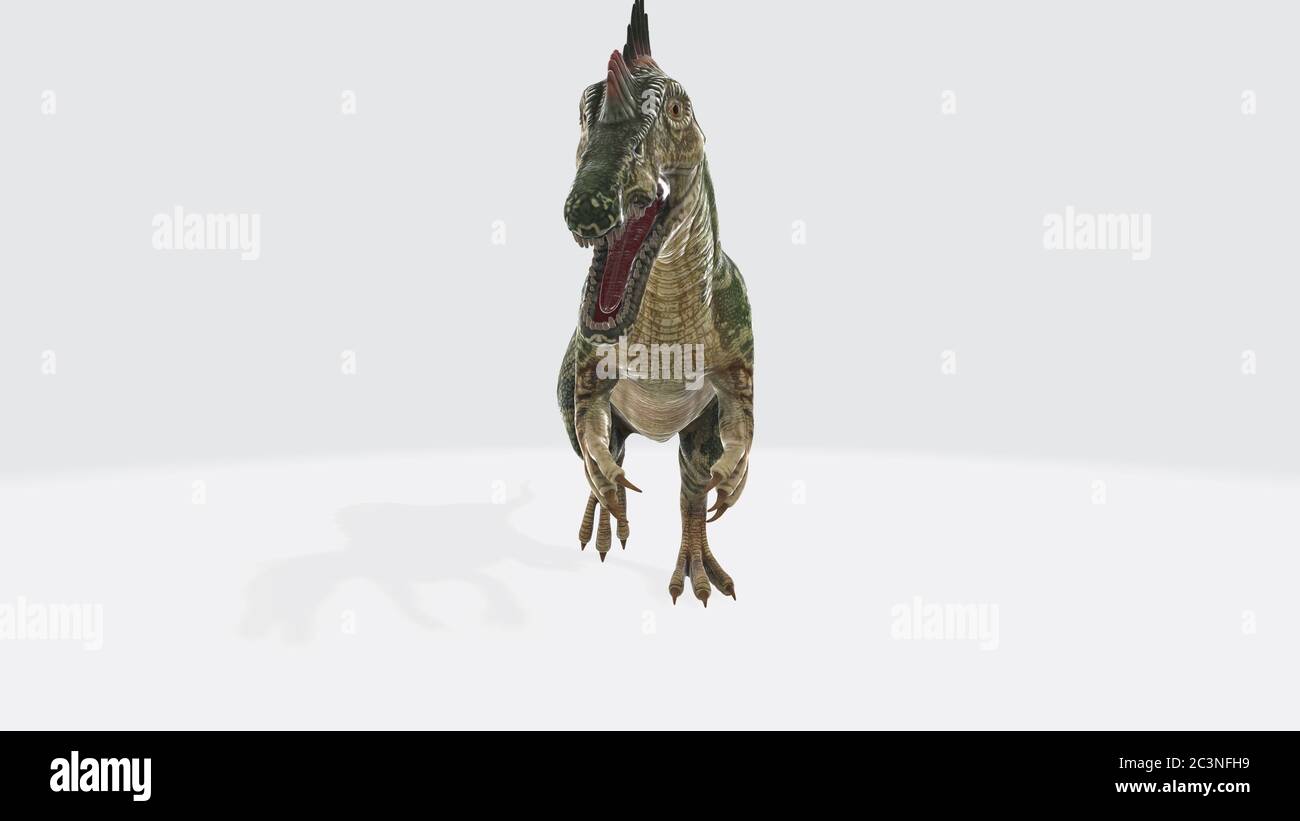 Parasaurolophus teeth hi-res stock photography and images - Alamy