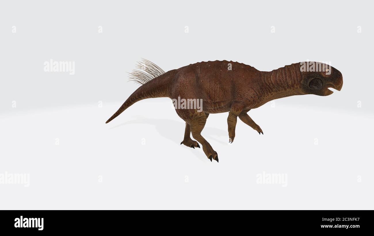 Parasaurolophus teeth hi-res stock photography and images - Alamy