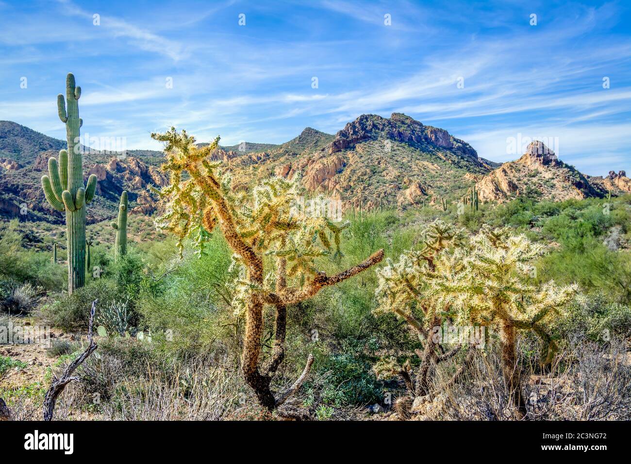 Native american trails hi-res stock photography and images - Alamy
