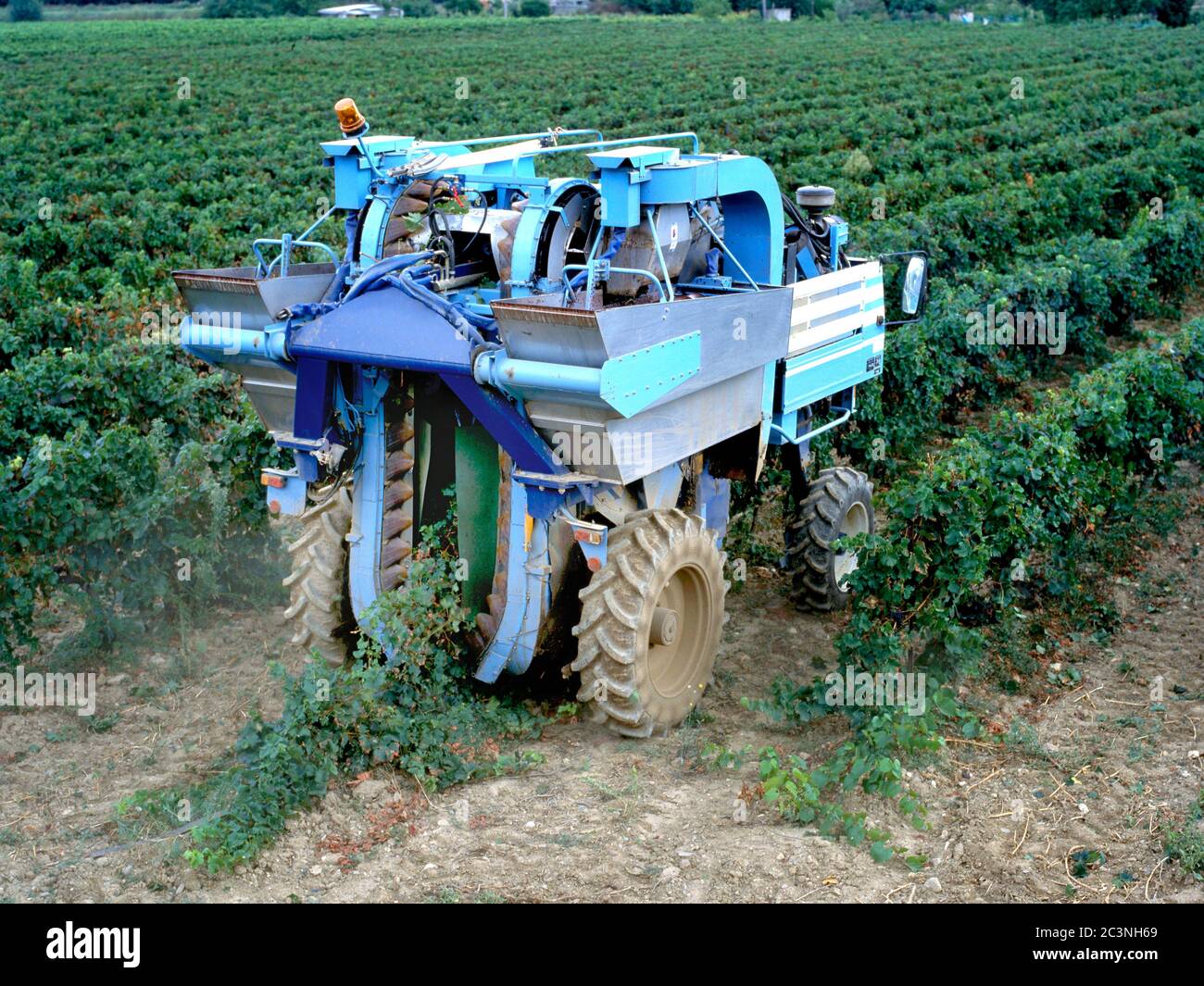 Tractor trailer grape harvesting machine hi-res stock photography and ...