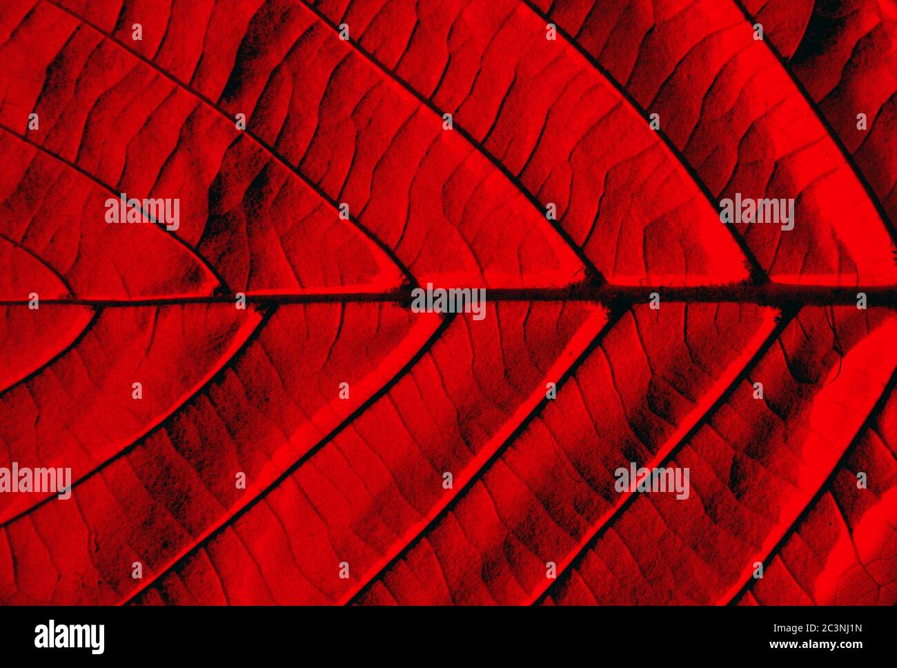 Illustration of red cracked patterns - great for wallpapers Stock Photo ...