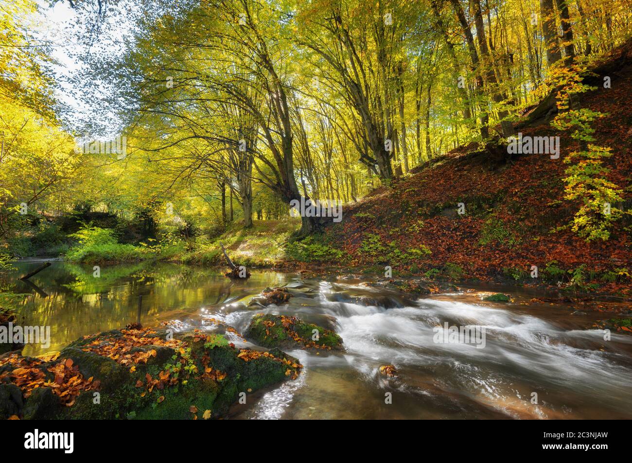 Strandja national park hi-res stock photography and images - Alamy