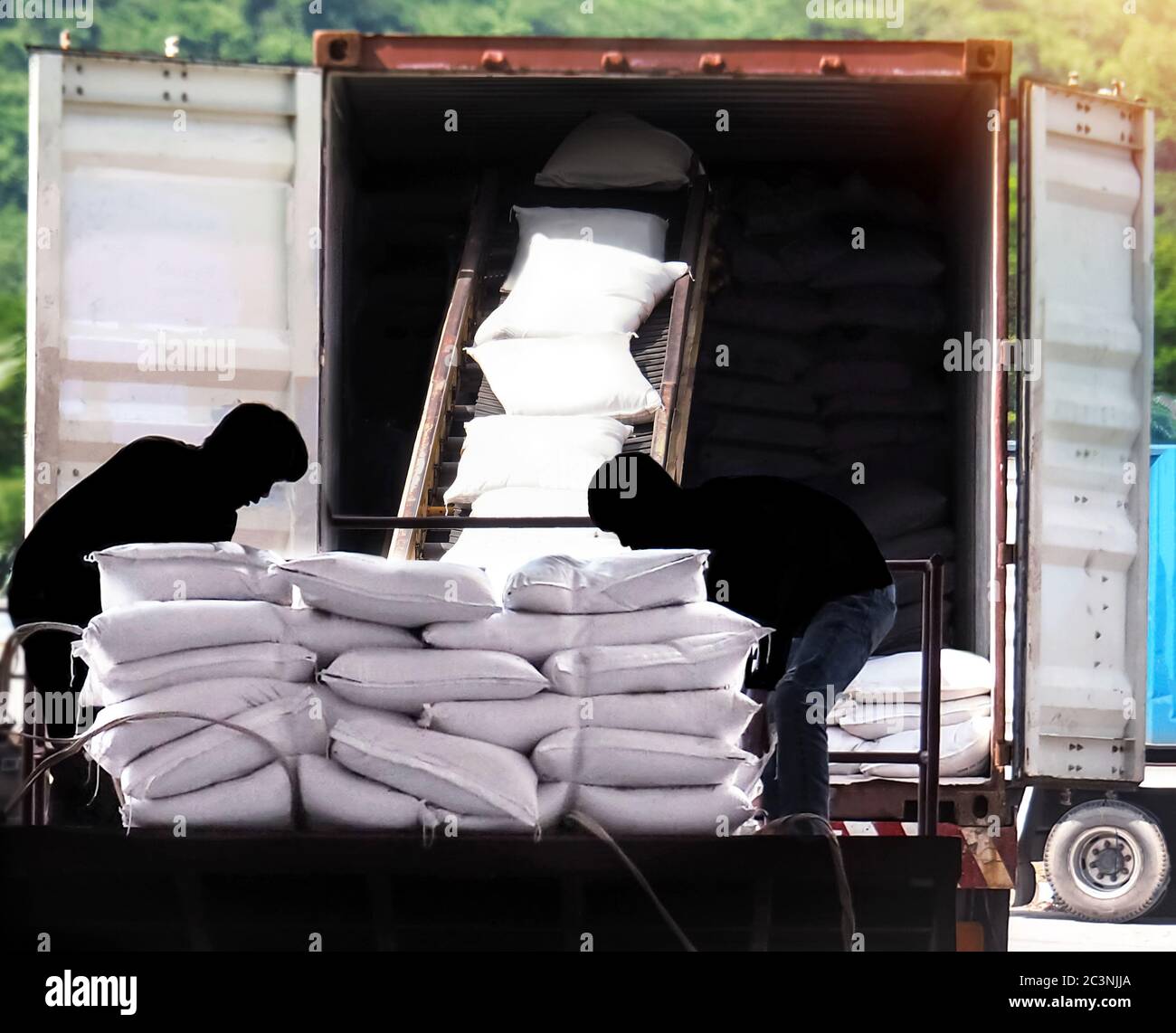 White sugar bags stuffing into a container for export isolated on white ...