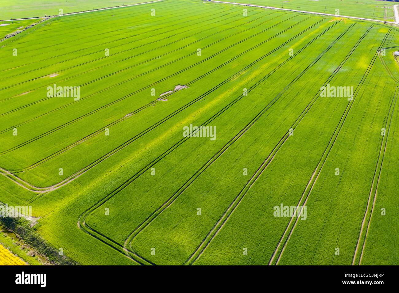 Lush green fields row hi-res stock photography and images - Alamy