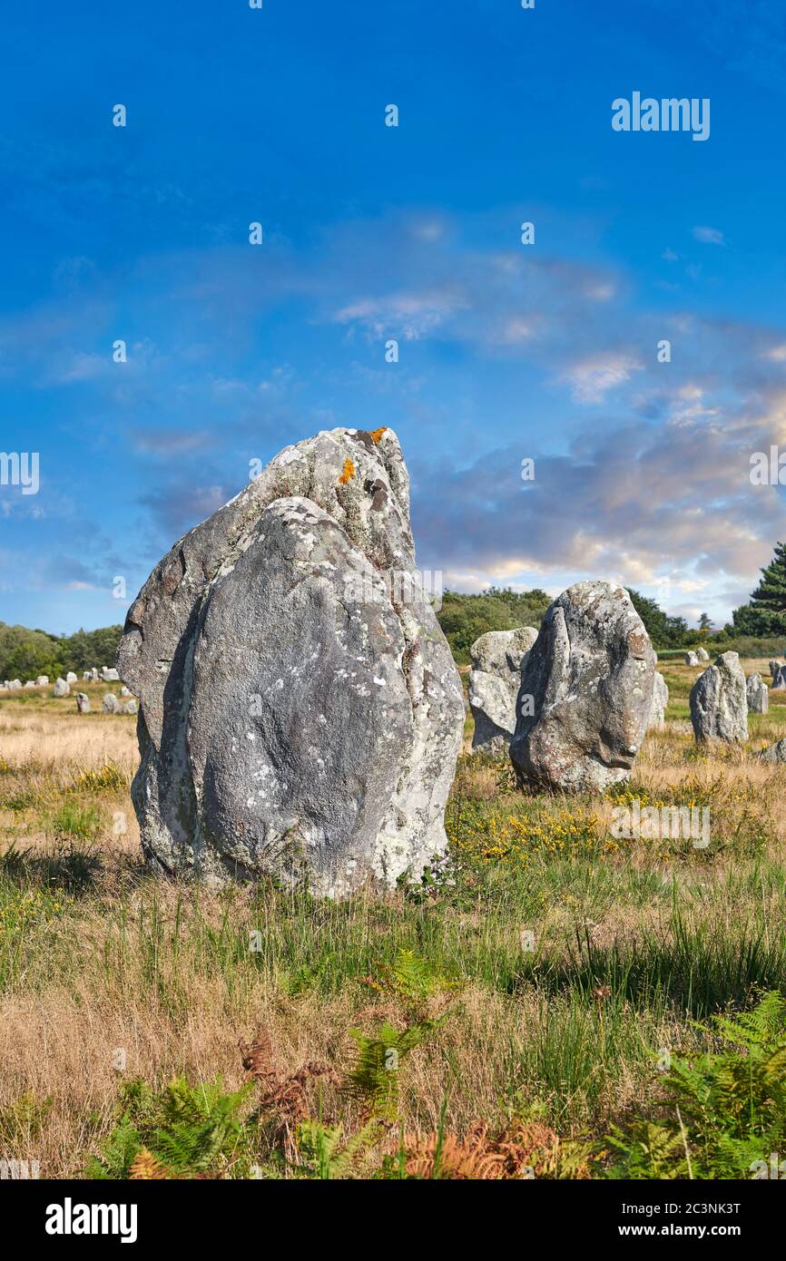 View of Carnac neolthic standing stones monaliths, a pre-Celtic site of ...