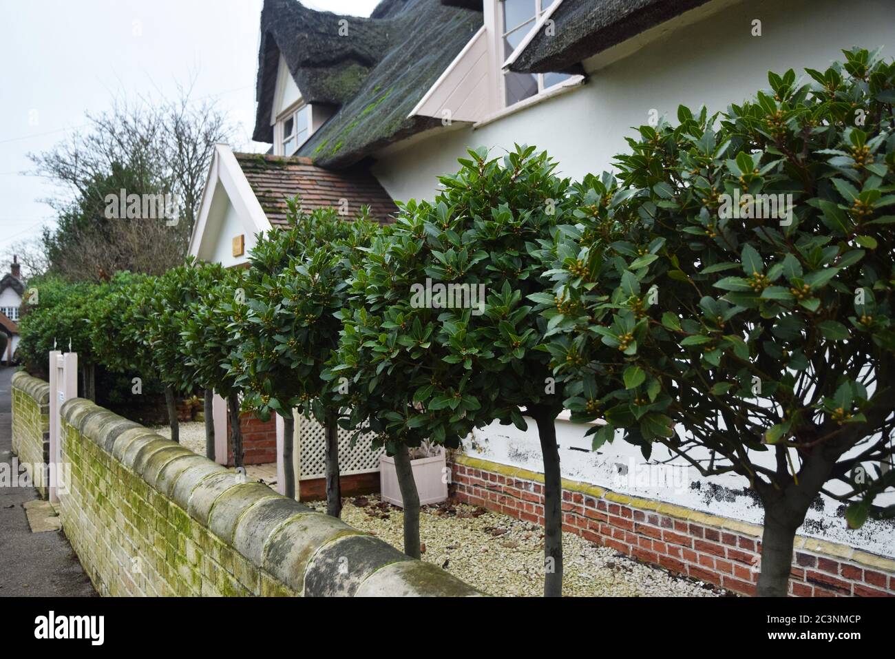 Bay and trees hi-res stock photography and images - Alamy