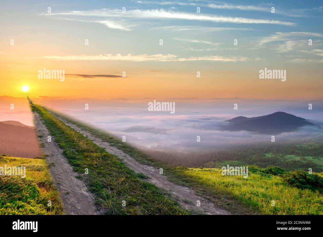 Gravel dirt road between wheat fields stretching to distant mountains ...