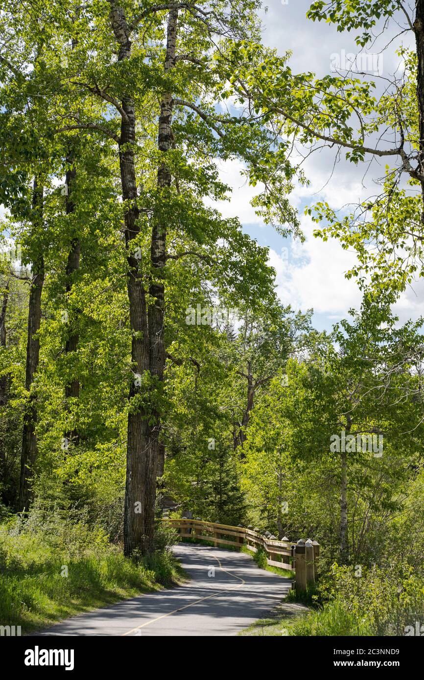 Calgary pathway system hi-res stock photography and images - Alamy