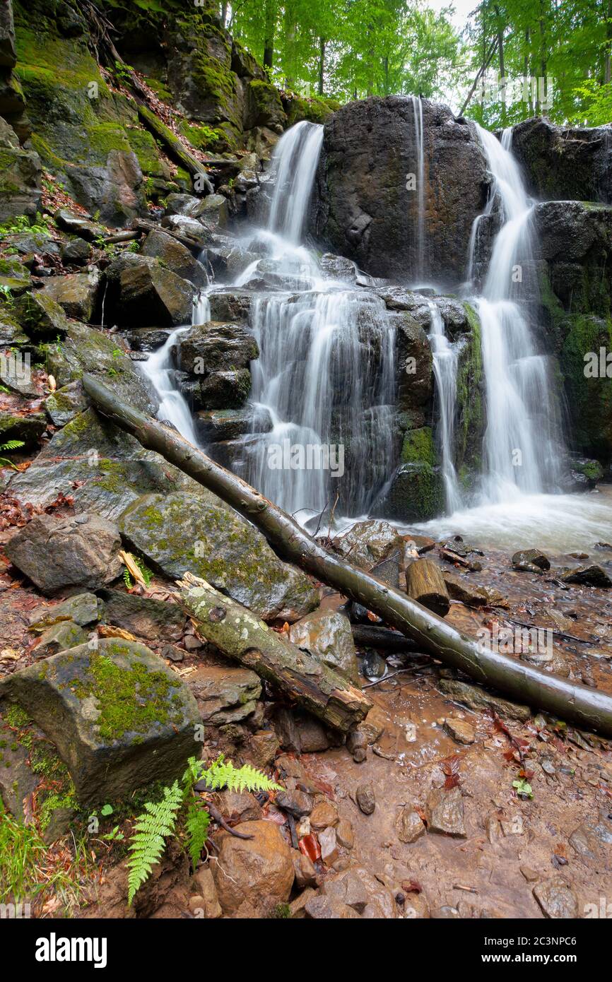 rocks in waterfall stream. beautiful nature scenery in forest. cascade ...