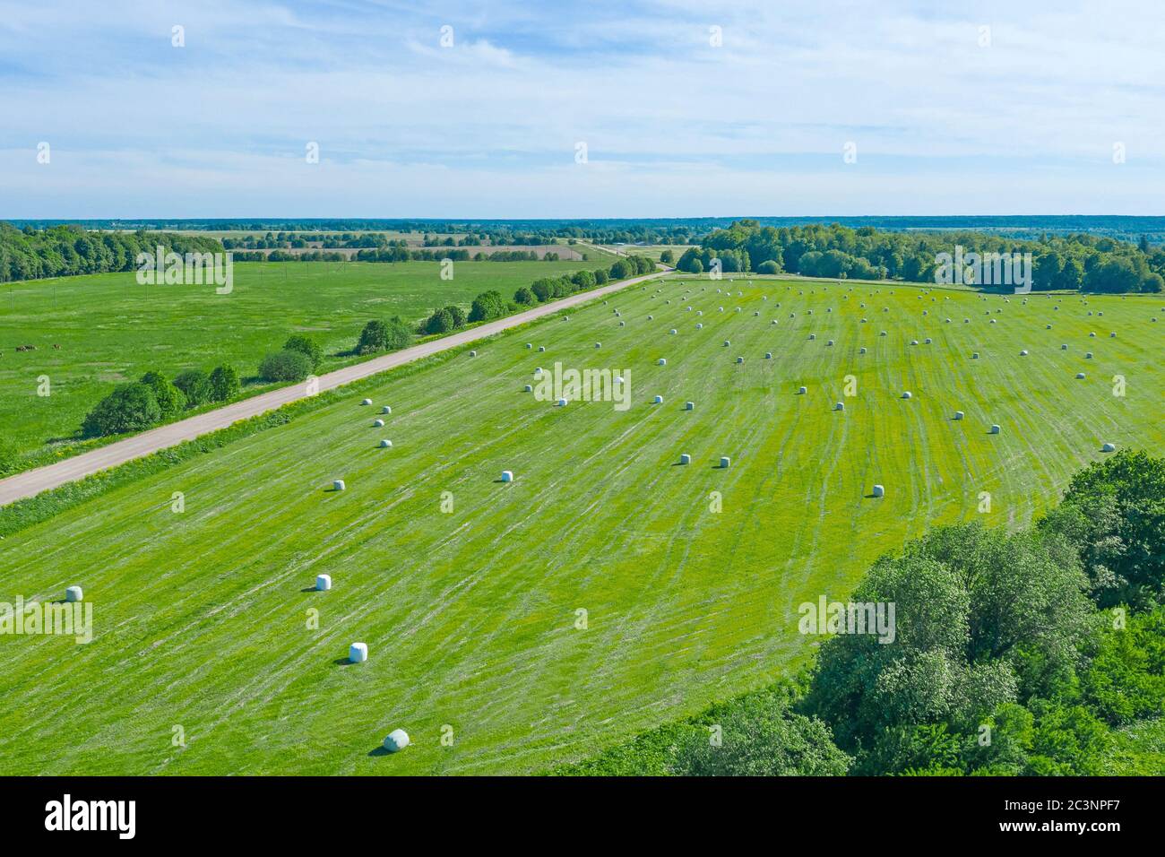 Rural landscape aerial view from a height of a field with mowed grass ...