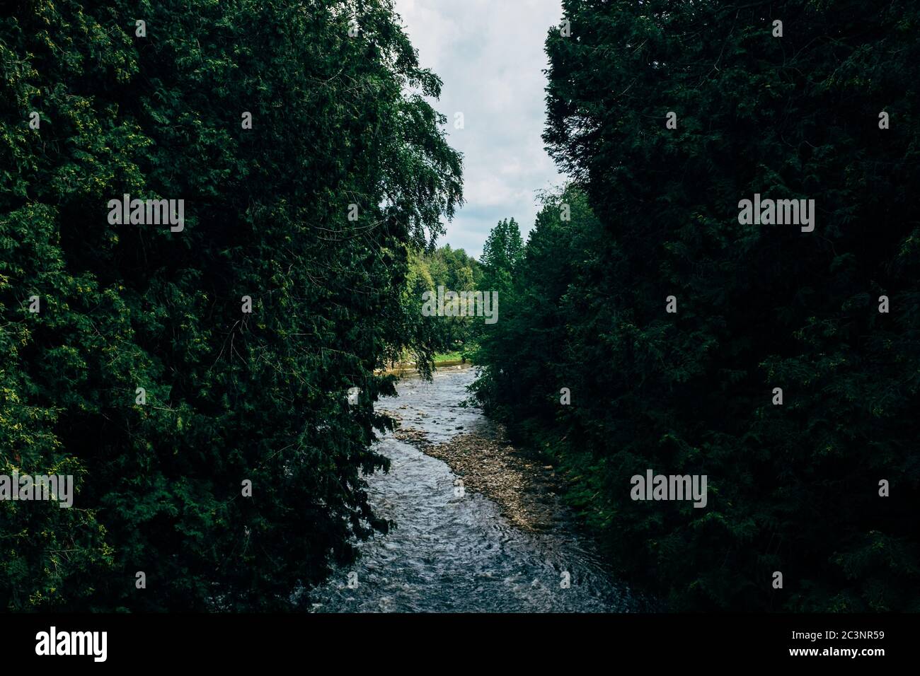 Green water surrounded trees hi-res stock photography and images - Alamy