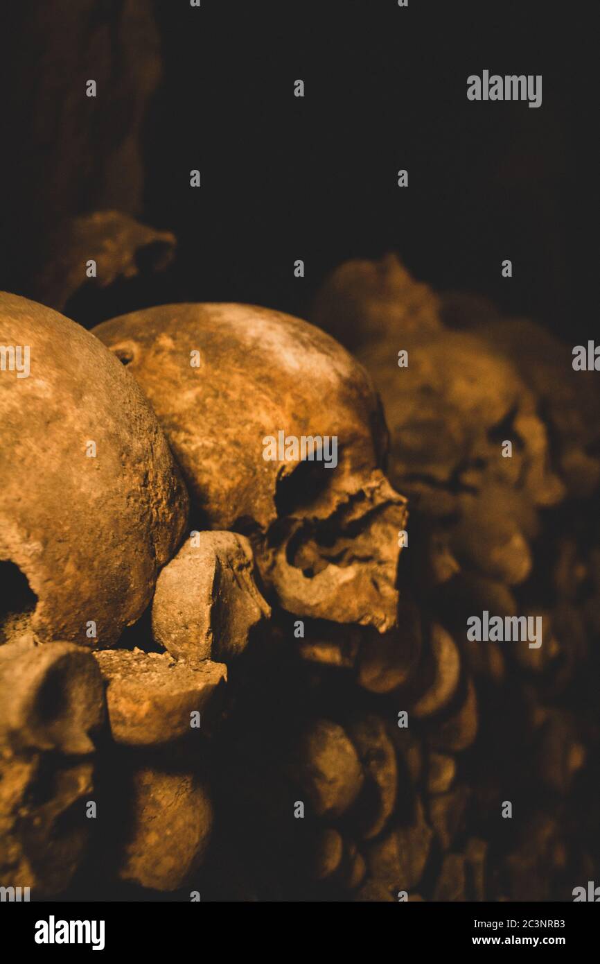 Vertical closeup shot of the skulls under the lights in the Catacombs ...