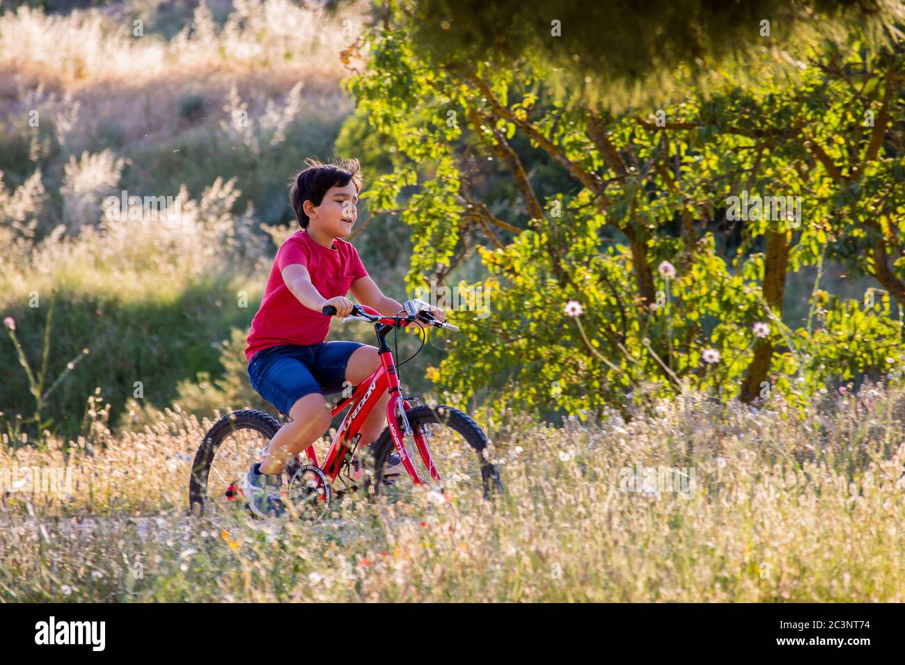 Boy riding a bike Stock Photo - Alamy