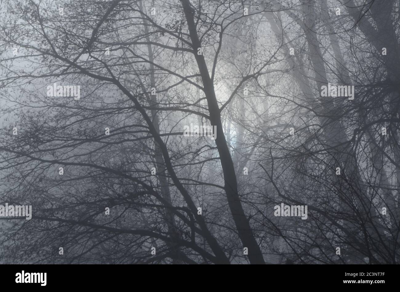 Scary scenarios hi-res stock photography and images - Alamy
