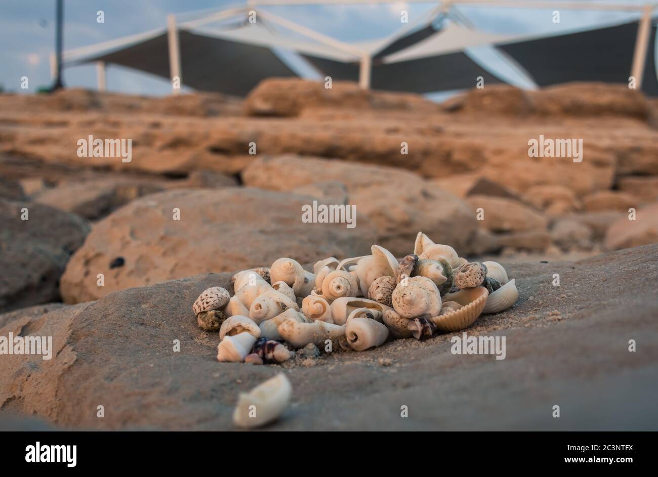 Beach pebbles rocks shells hi-res stock photography and images - Alamy