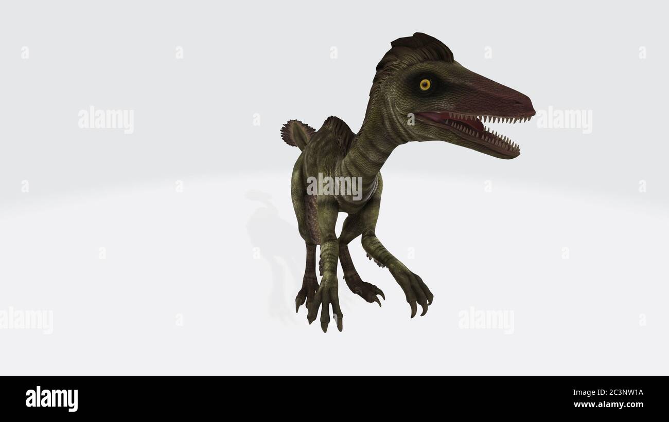 3D rendering of a computer-generated Troodon dinosaur isolated on a ...