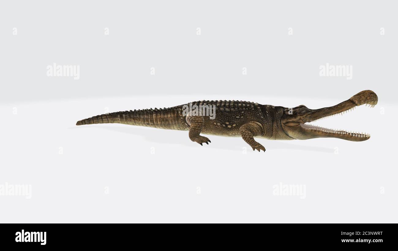 Sarcosuchus