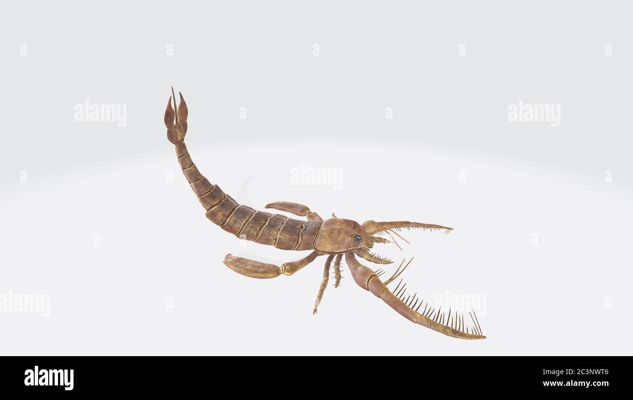 3D rendering of a scorpion isolated on a white background Stock Photo ...