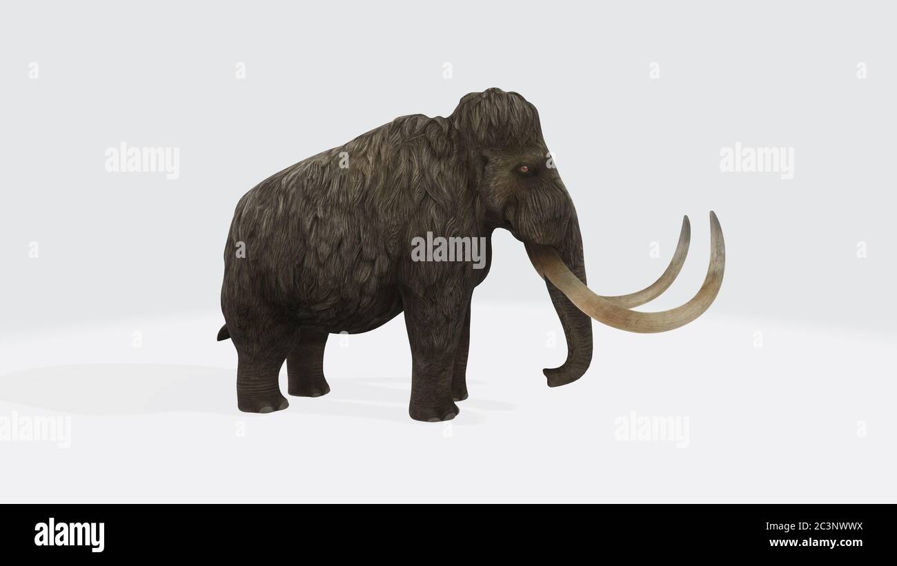 3D rendering illustration of a giant wooly mammoth isolated on a white ...