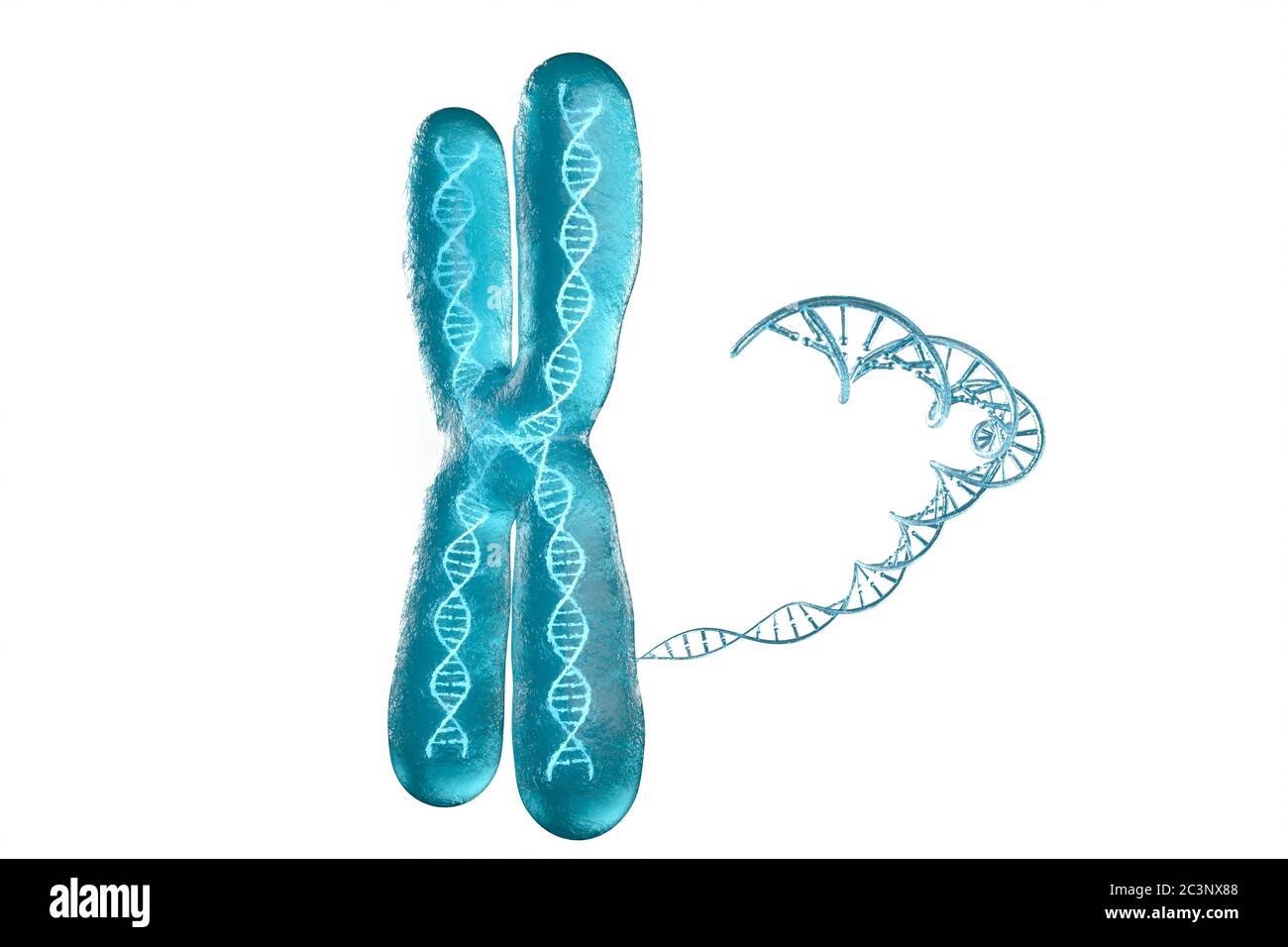 Chromosome with white background, 3d rendering. Computer digital ...