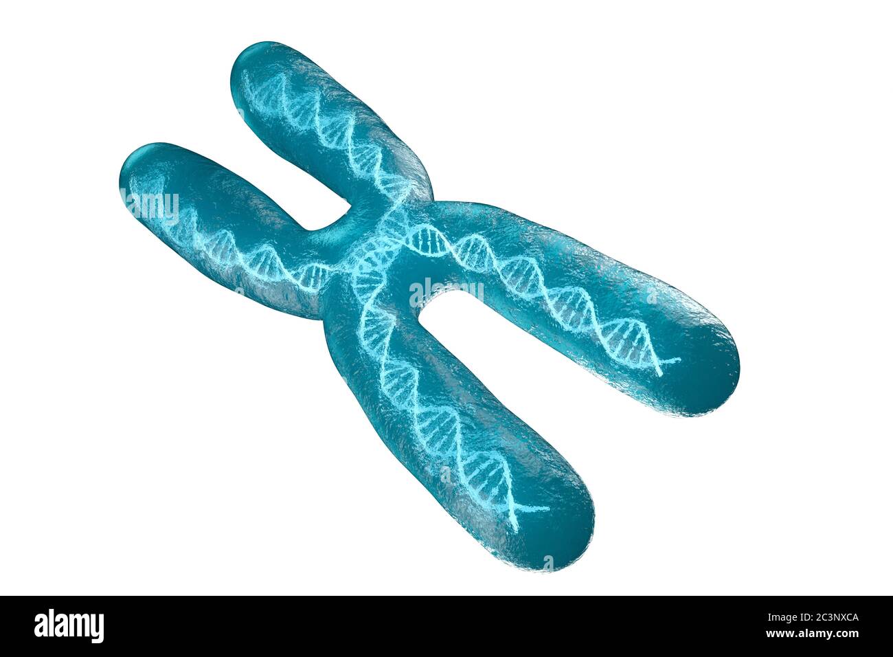 Chromosome with white background, 3d rendering. Computer digital ...