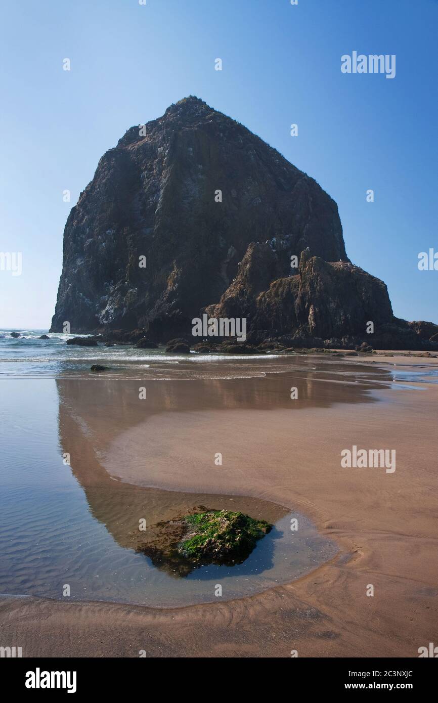 Oregon coast rock pool hi-res stock photography and images - Alamy