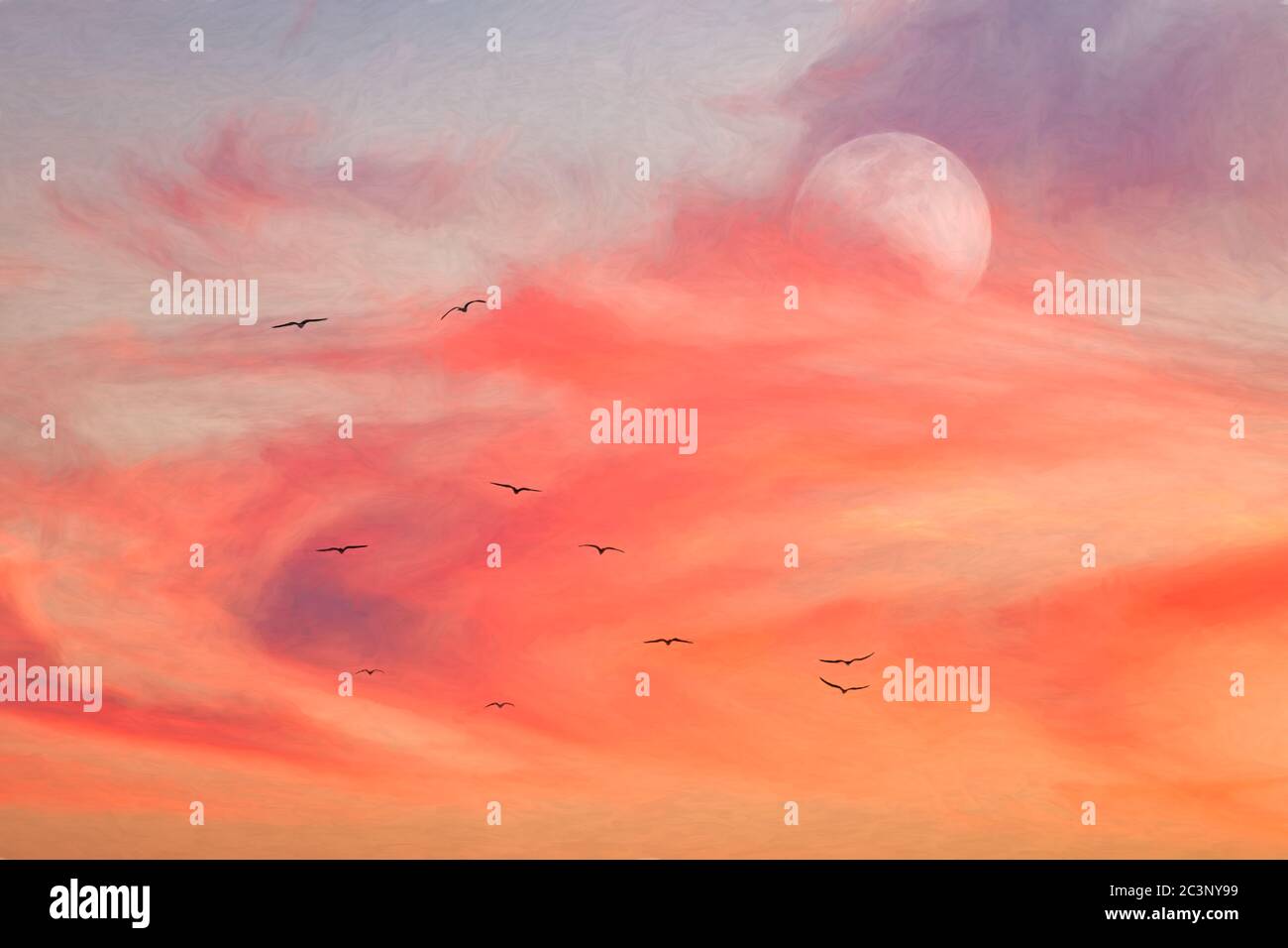 A Flock of Birds Are Flying As The Moon Rises in the Sky Stock Photo ...
