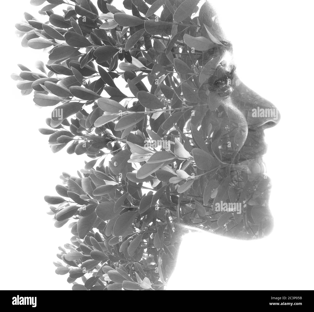 Surreal creative double exposure portrait Stock Photo - Alamy