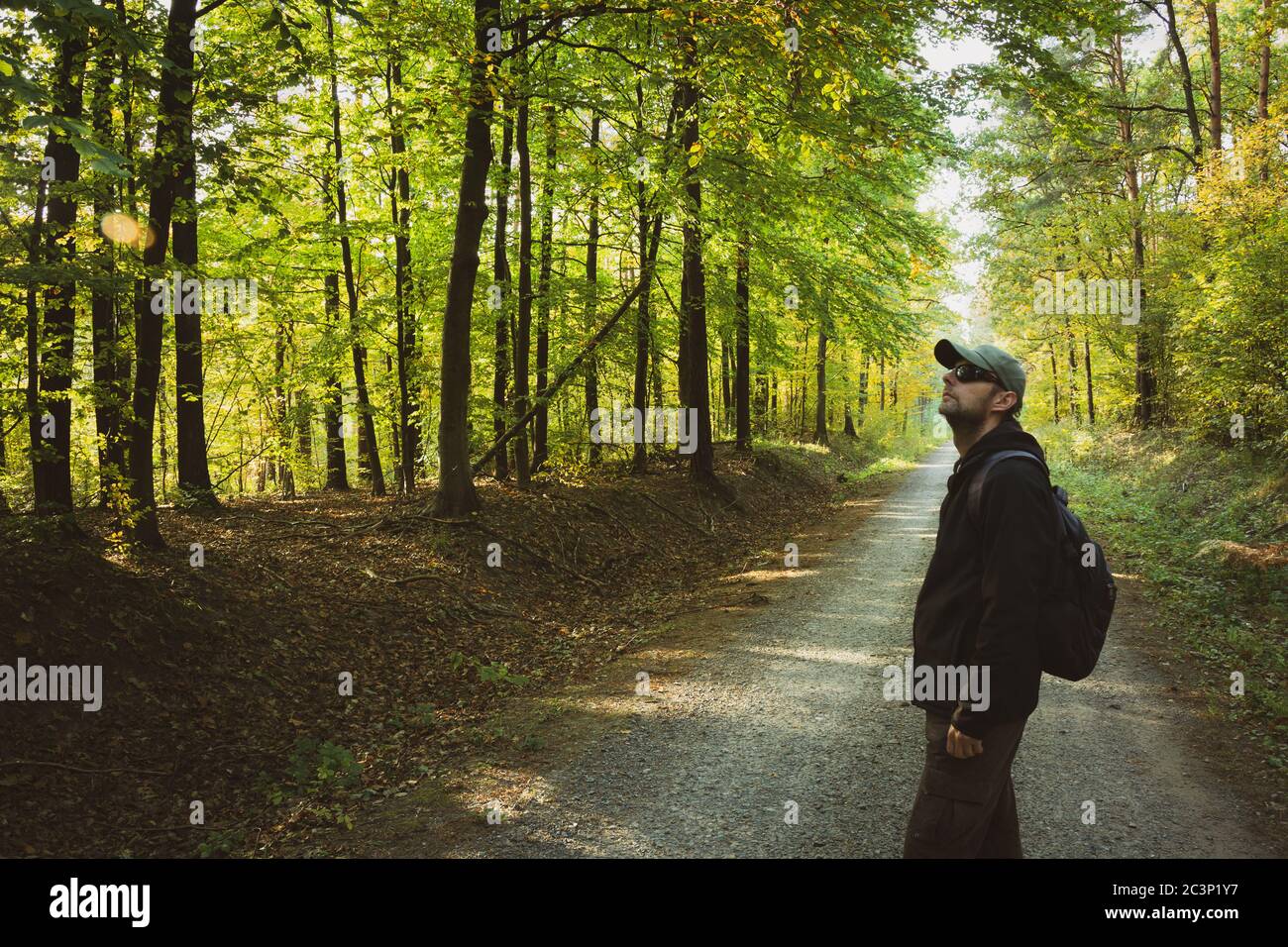 A man looking up at the trees in the green forest, first days of autumn ...