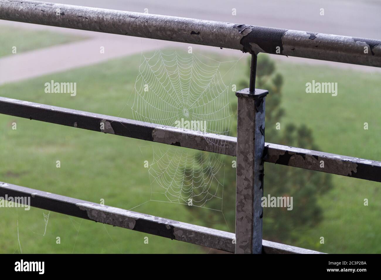 Spider's web in foggy weather on metal balcony railings Stock Photo - Alamy