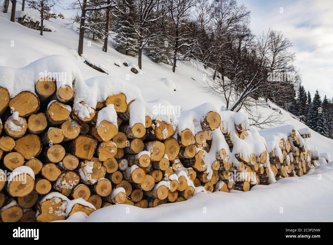 Closeup firewood logs in hi-res stock photography and images - Alamy
