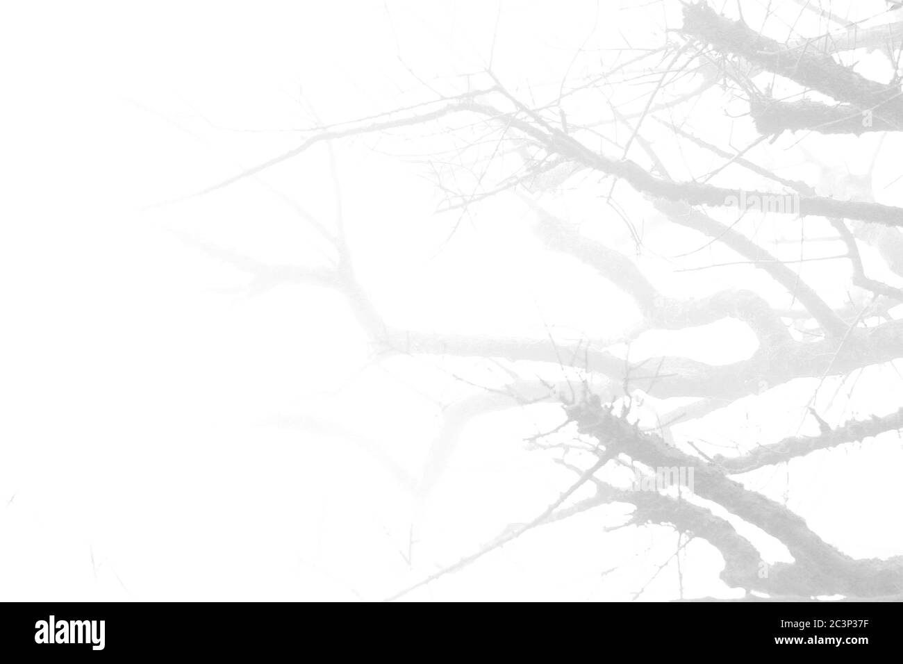 Matter form hi-res stock photography and images - Alamy