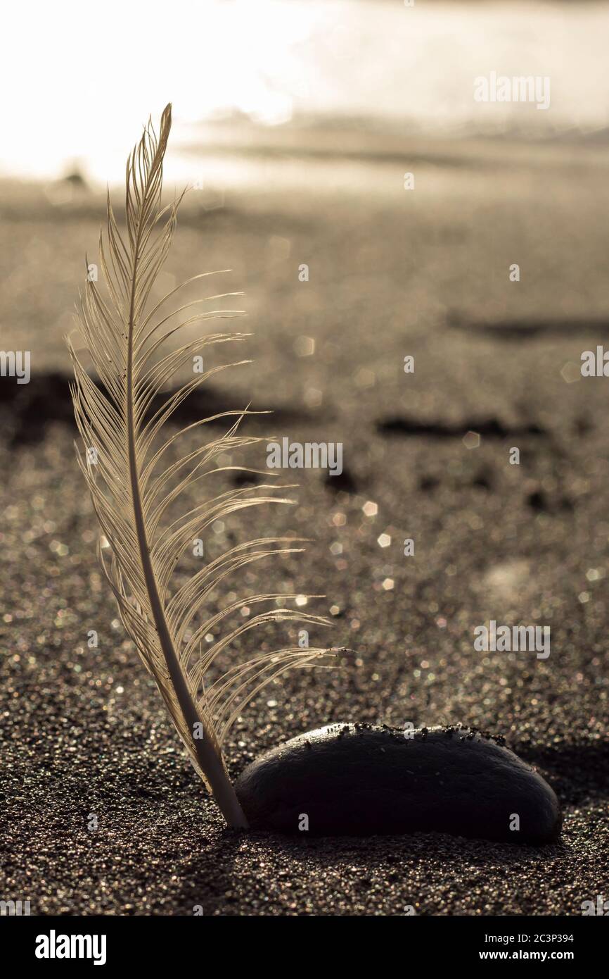 Feather stone hi-res stock photography and images - Alamy