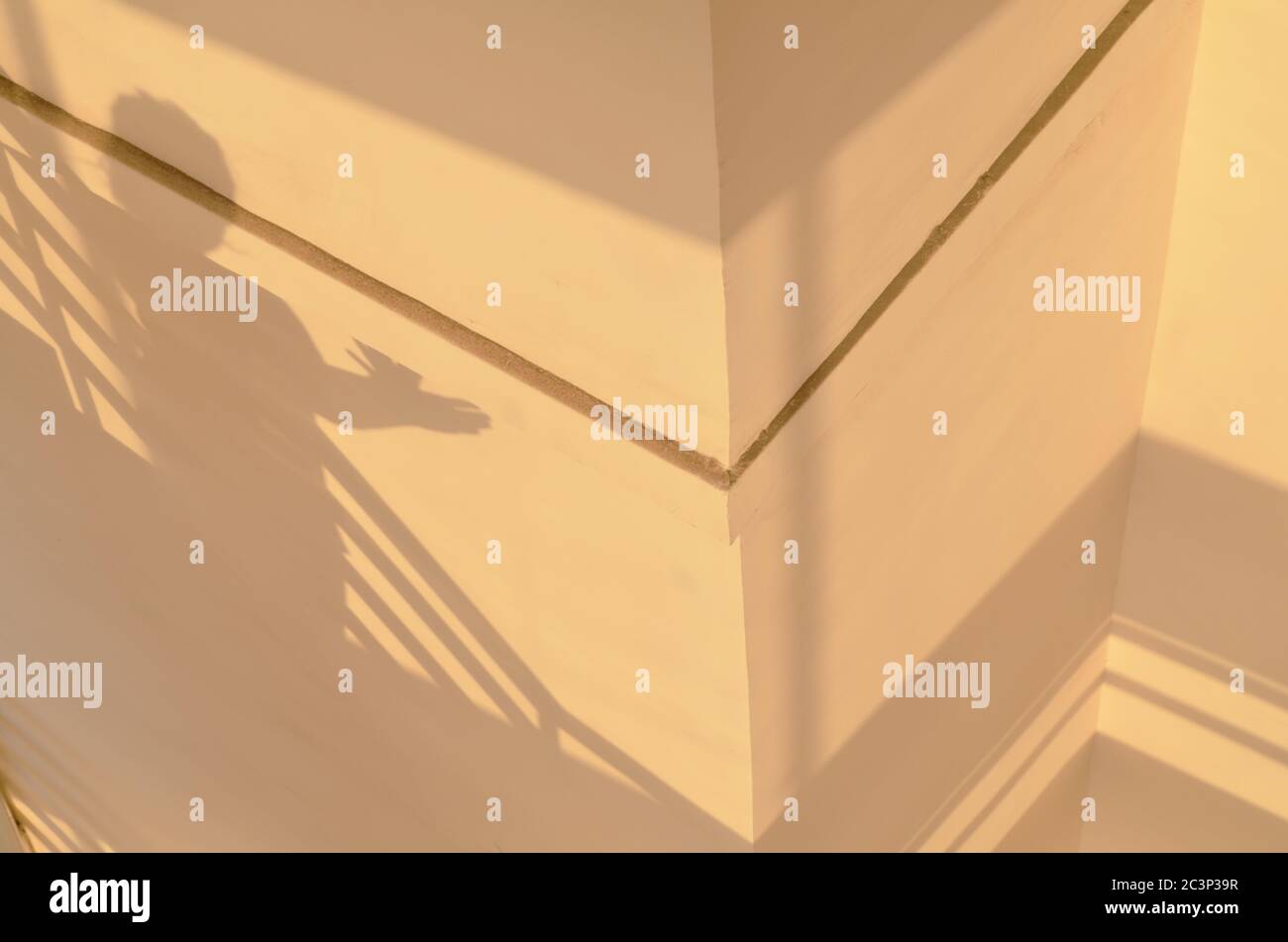 Set the bird free Stock Photo - Alamy