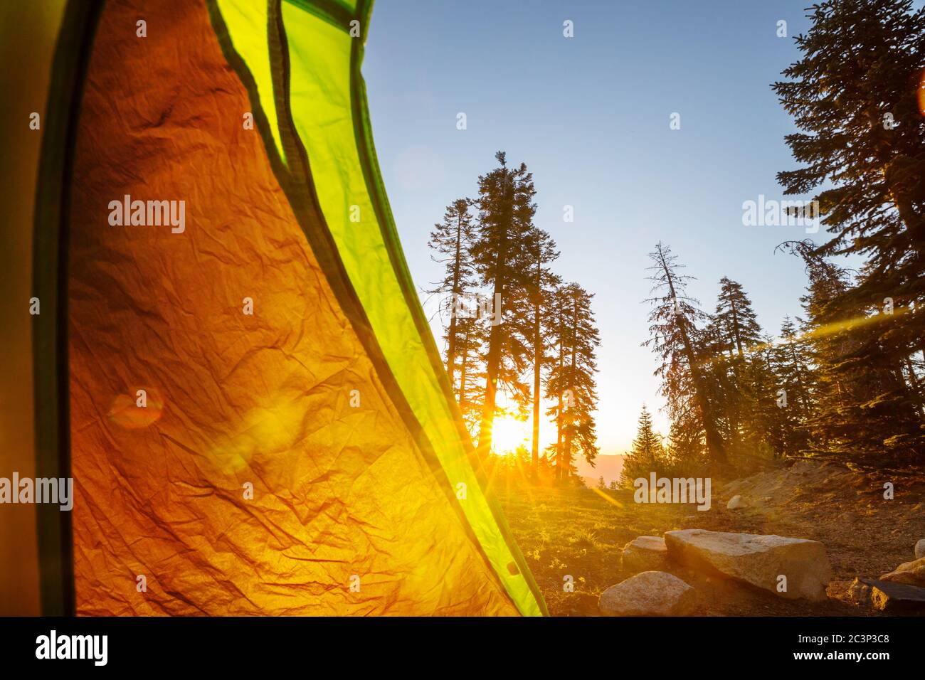 Modern tourist tent hanging between trees in green forest Stock Photo ...