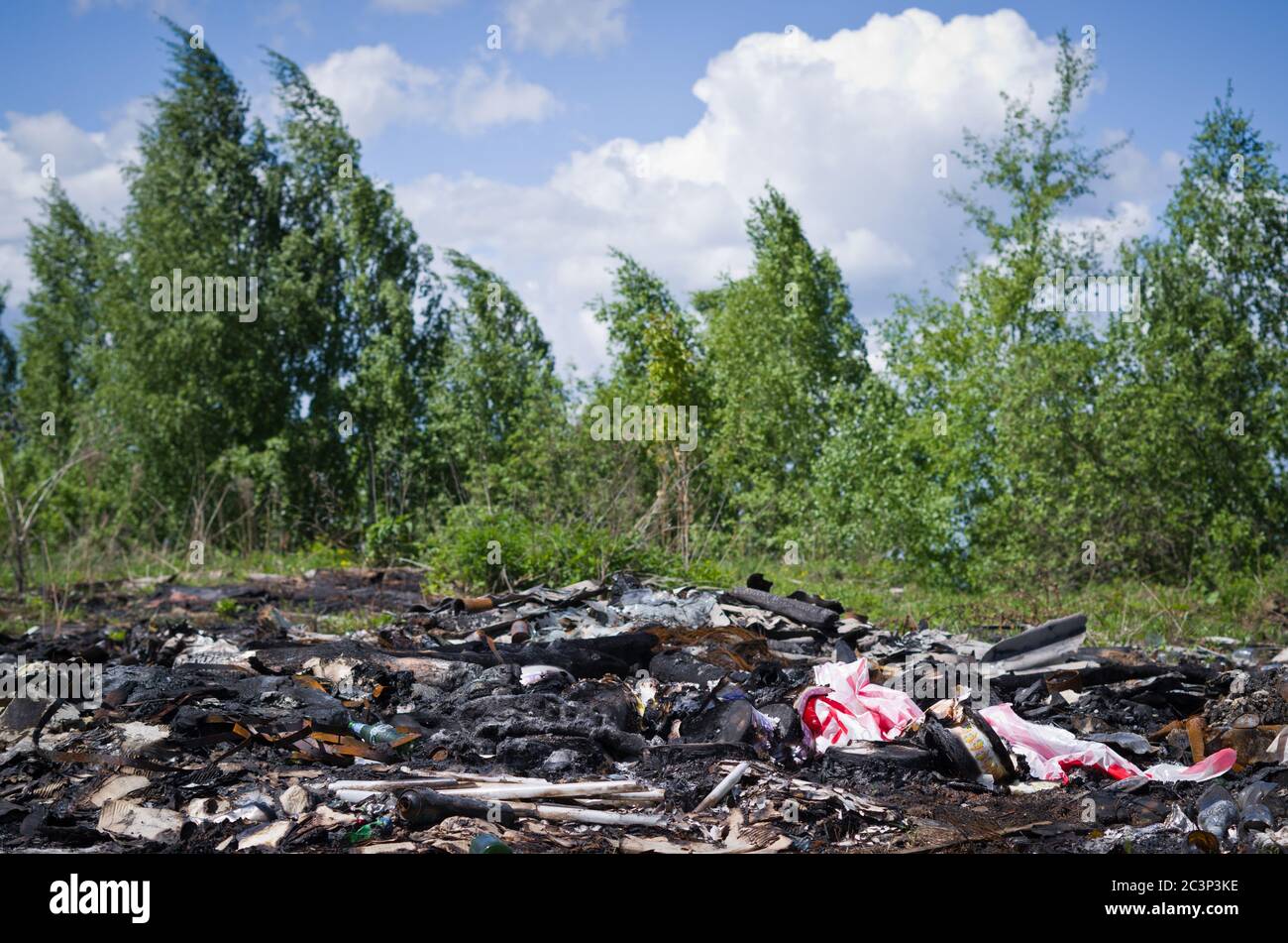 Spring in the Russian forest. Environmental pollution. Garbage in ...