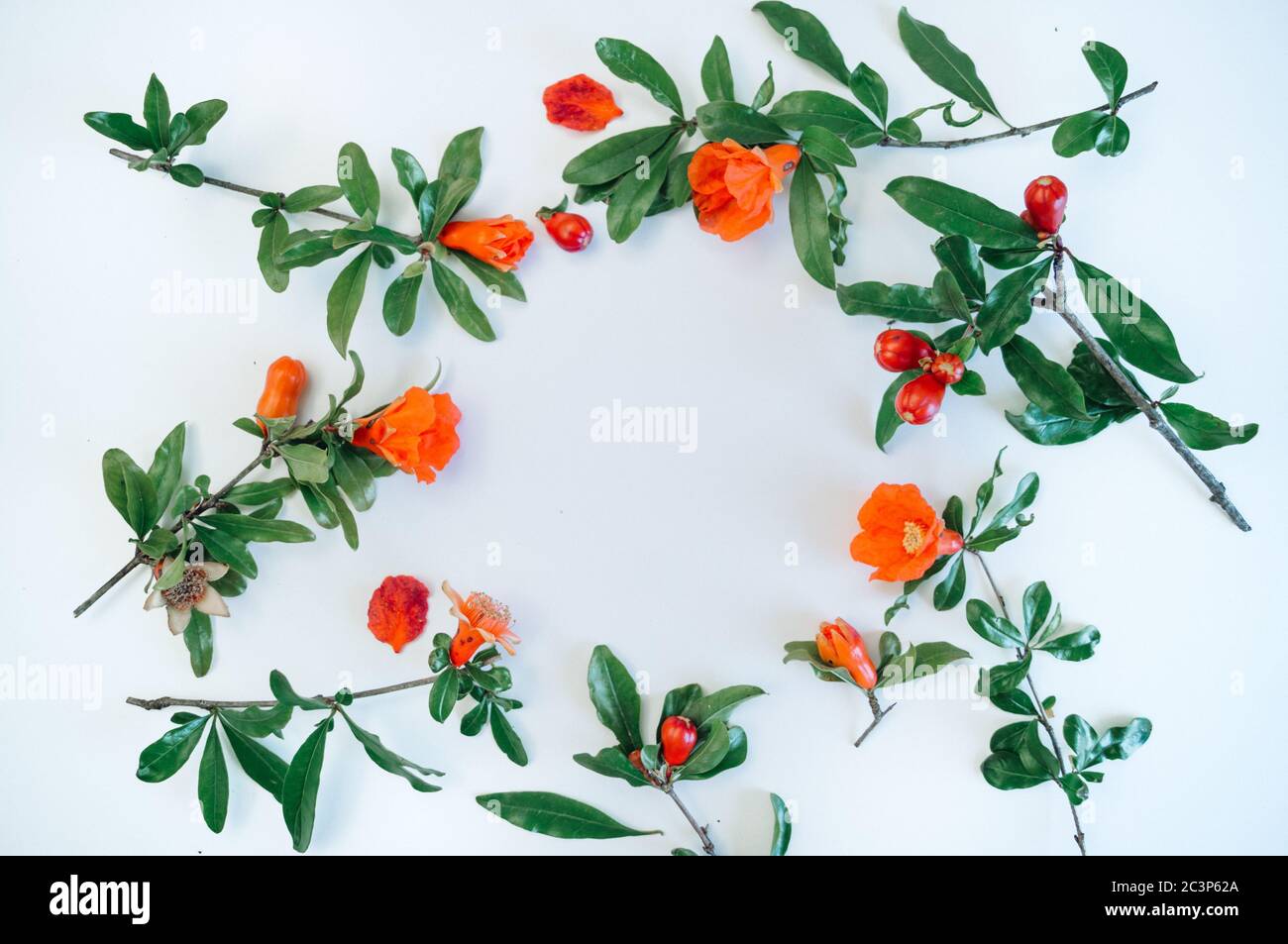 flower arrangement in a circle. of red and orange flowers on a white ...