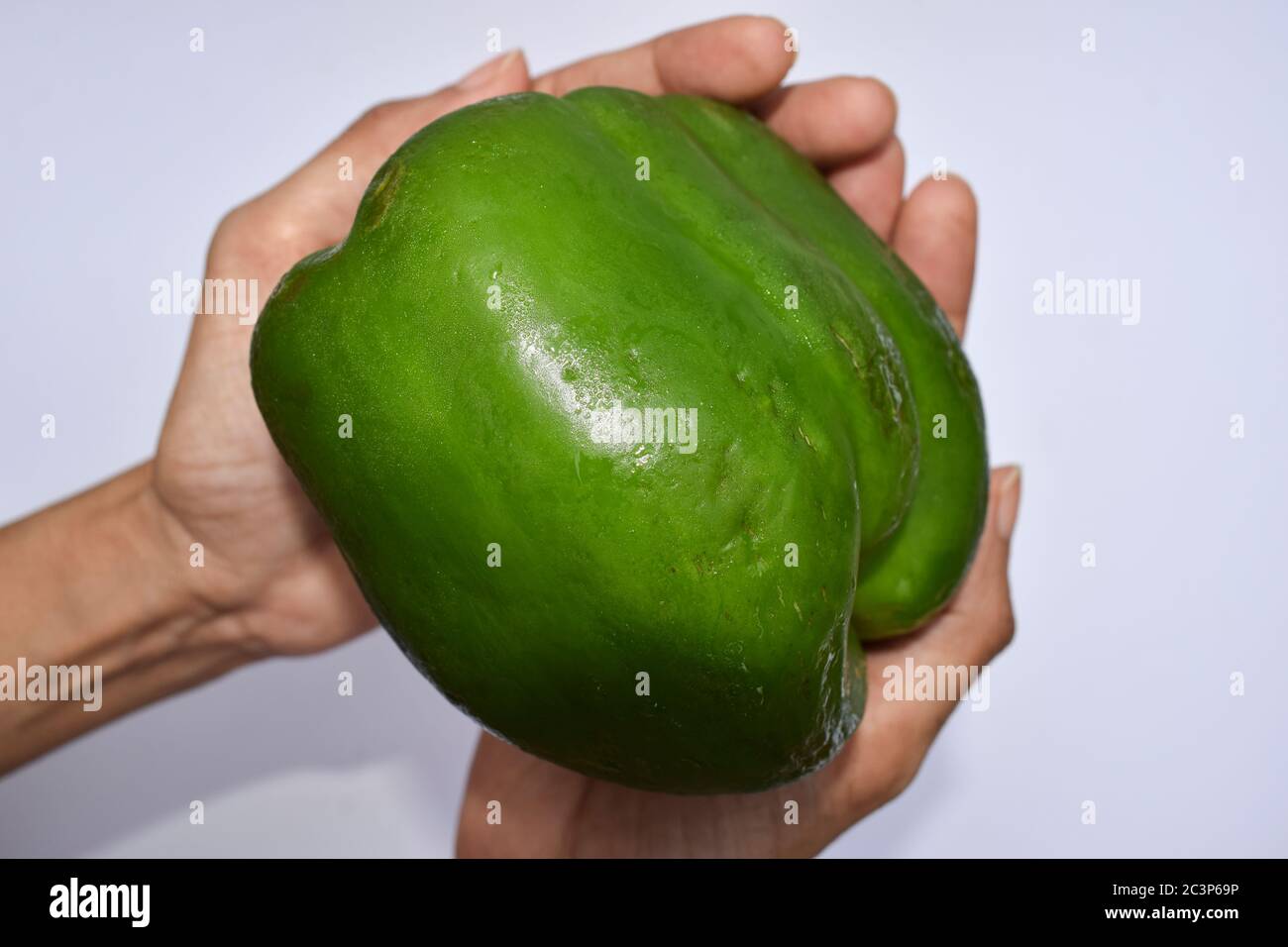 Big Green Capsicum or Green Bell pepper close up in female hand. Fresh ...