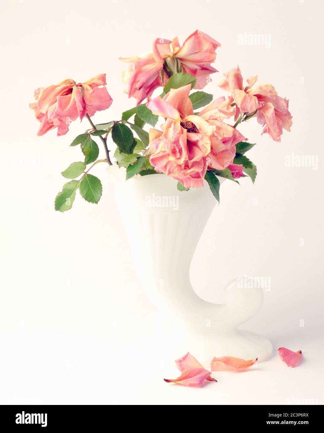 Dead Flowers Vase High Resolution Stock Photography and Images - Alamy