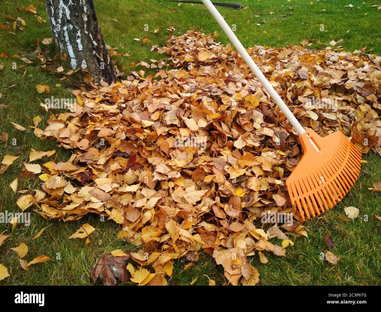 Fall leaf pile hi-res stock photography and images - Alamy