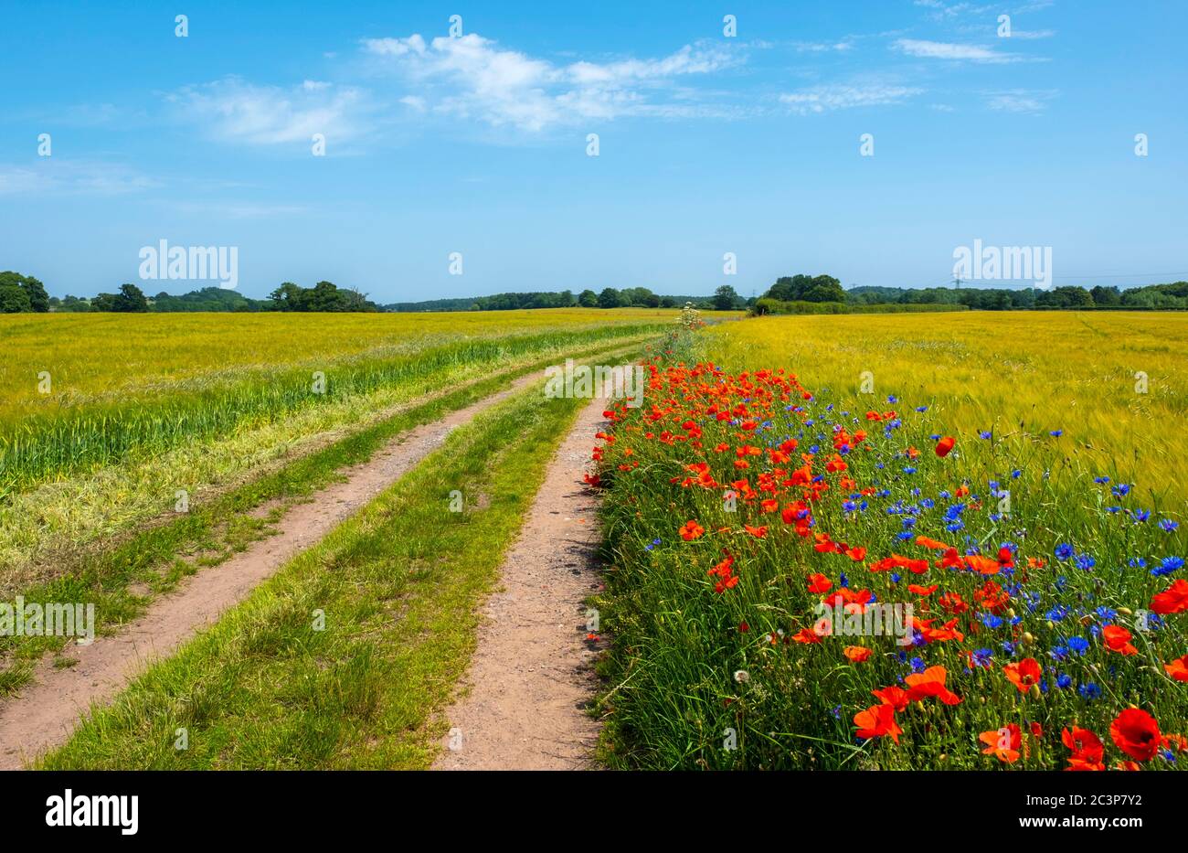 Wyre way hi-res stock photography and images - Alamy