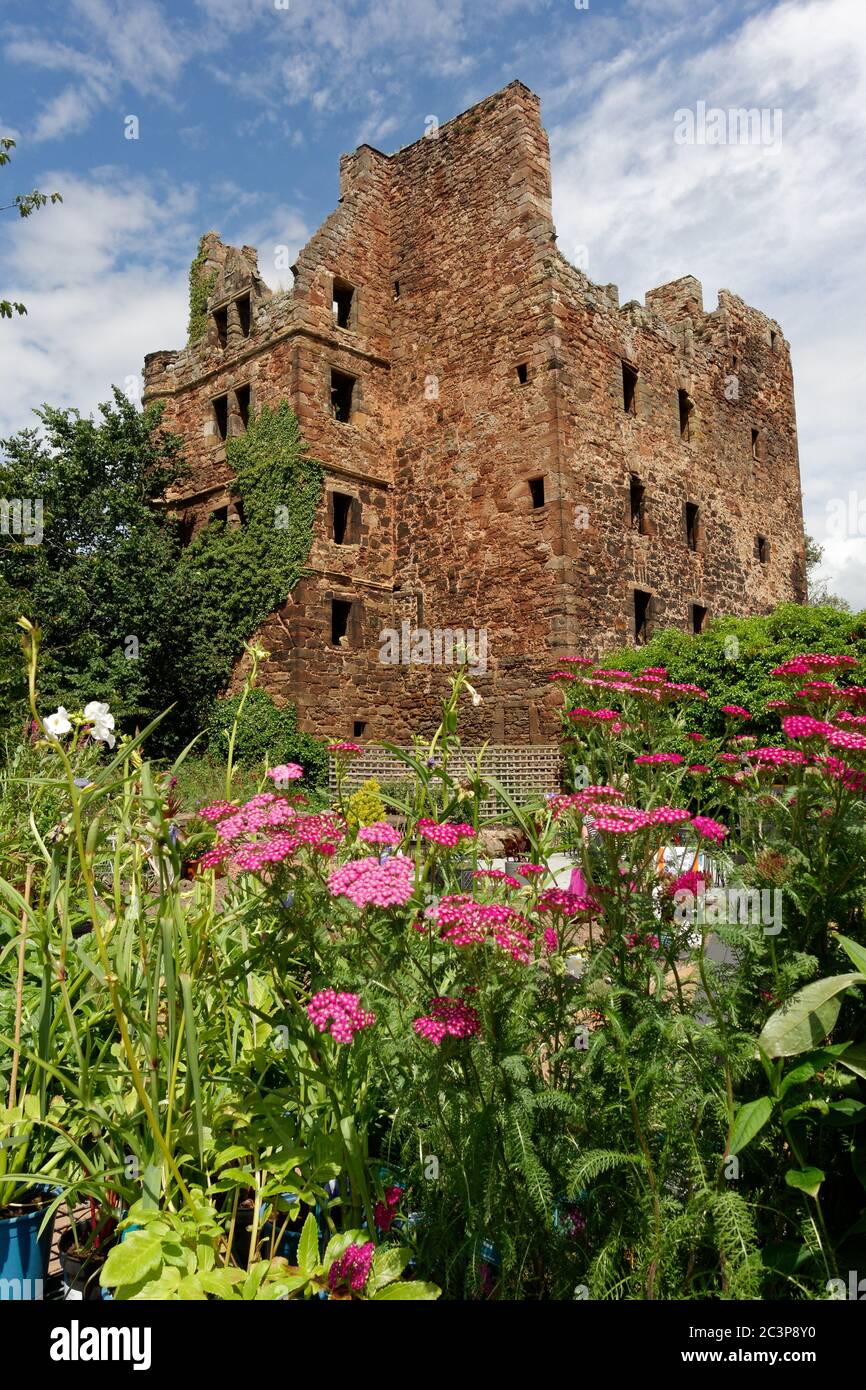 15th century Redhouse Castle Ruin, Longniddry, East Lothian, Scotland ...