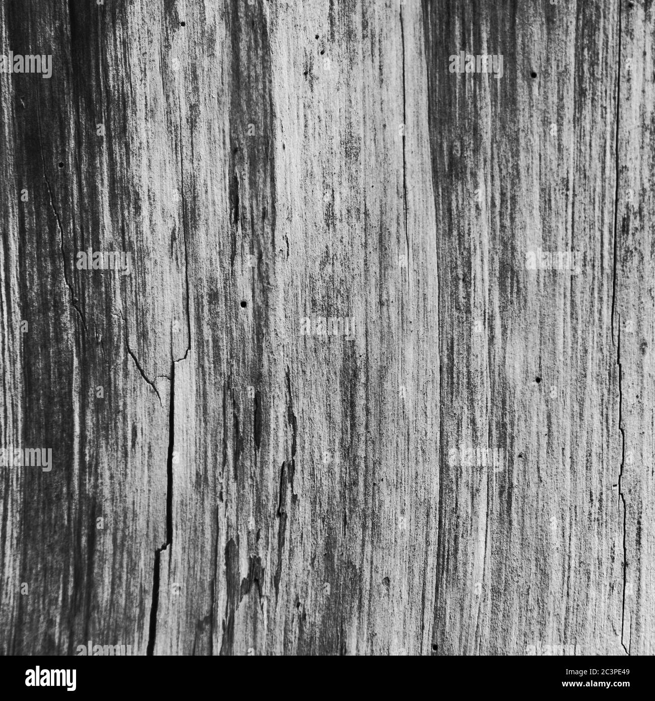 Old worn wood texture pattern background grey, monochrome, black and ...